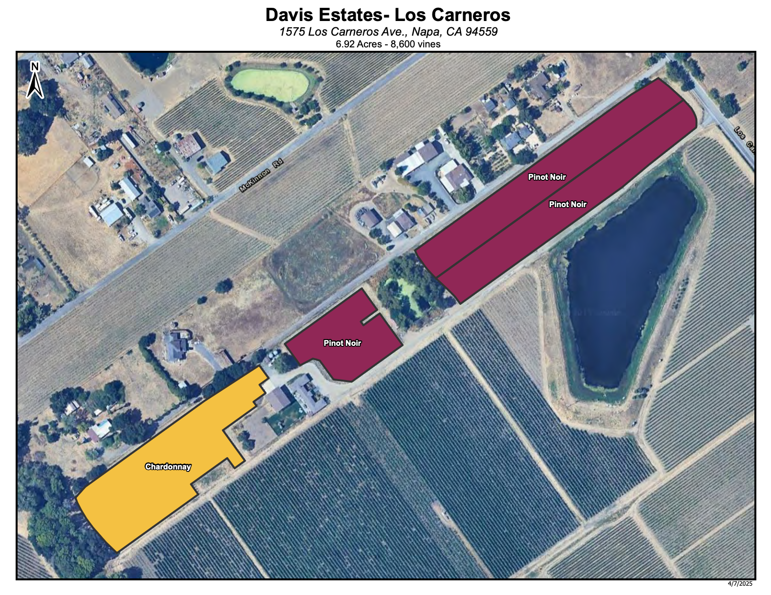 Our Carneros Vineyard | Davis Estates California Vineyards